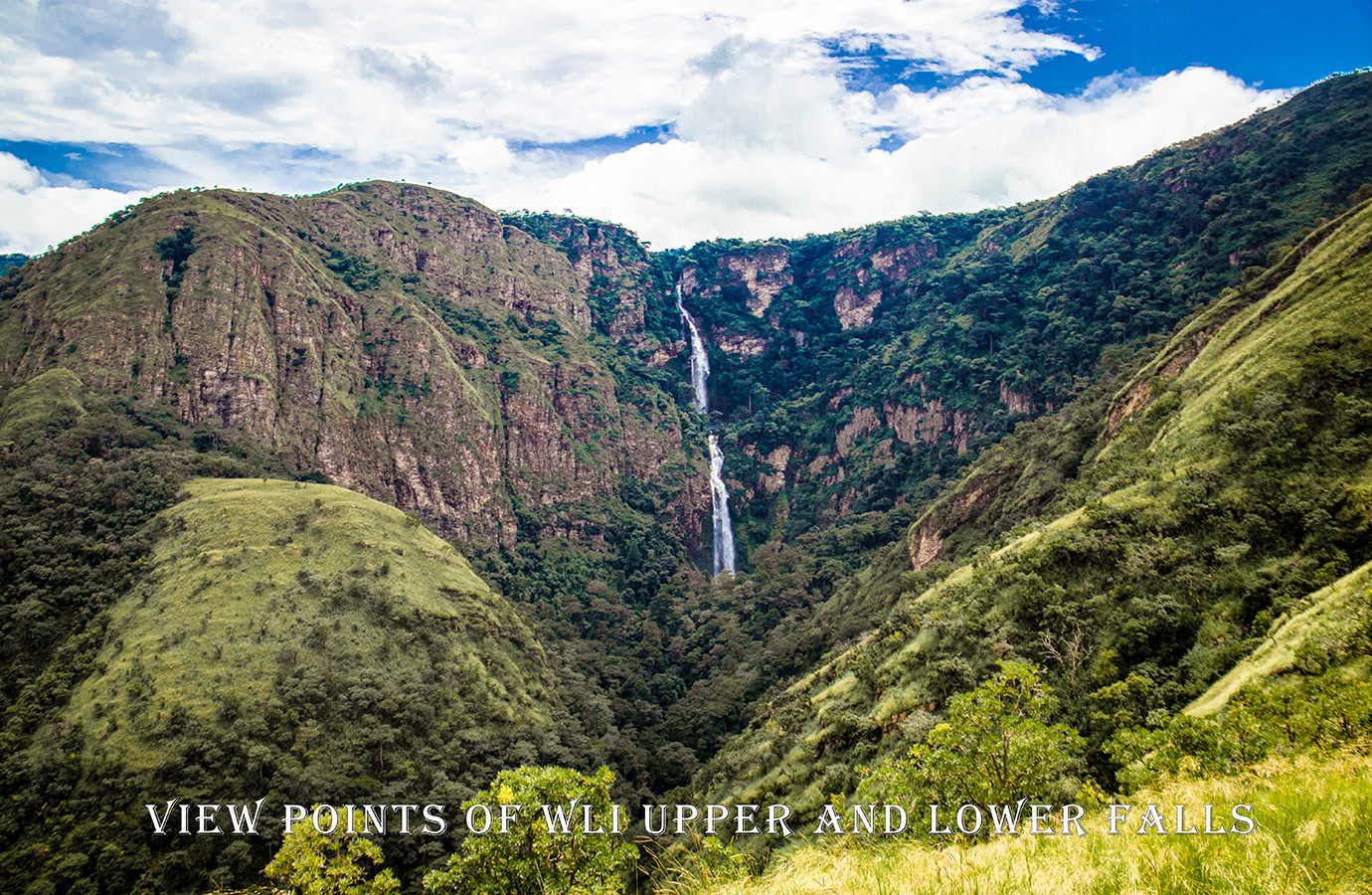 Gallery - Wli Waterfalls