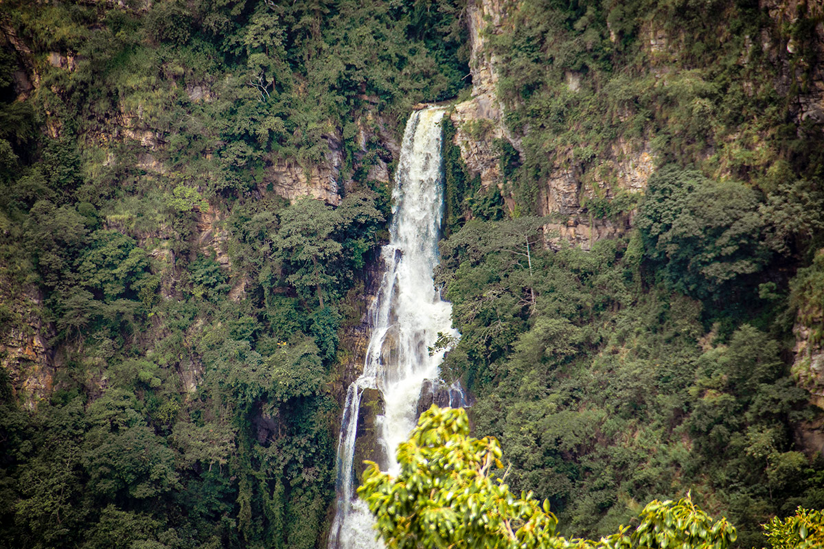 Gallery - Wli Waterfalls