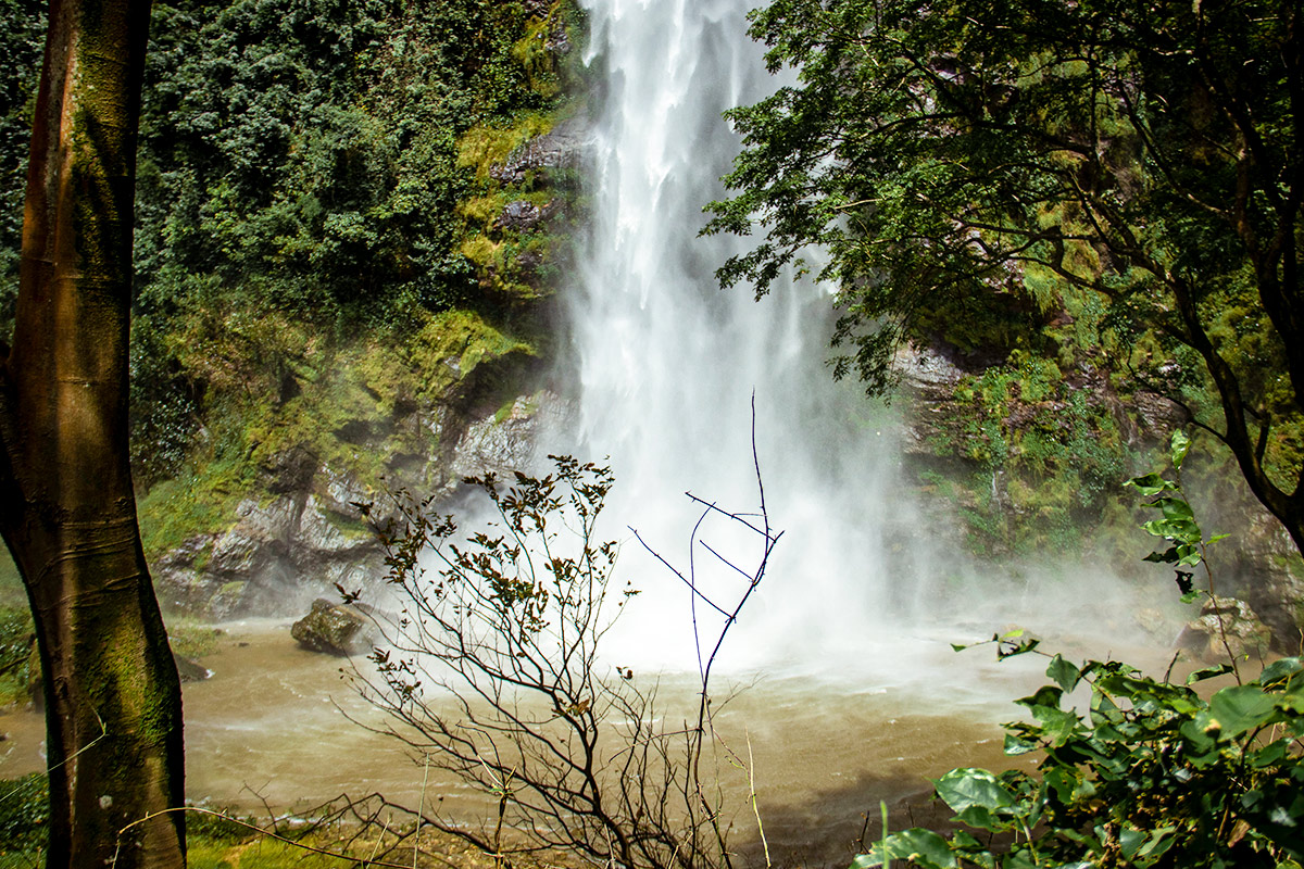 Gallery - Wli Waterfalls